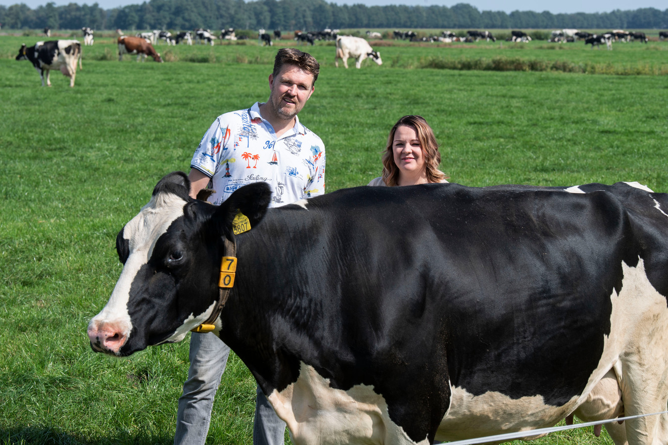 Boerenbedrijf uit Westerhaar vreest na 20 jaar opnieuw voor gedwongen ...