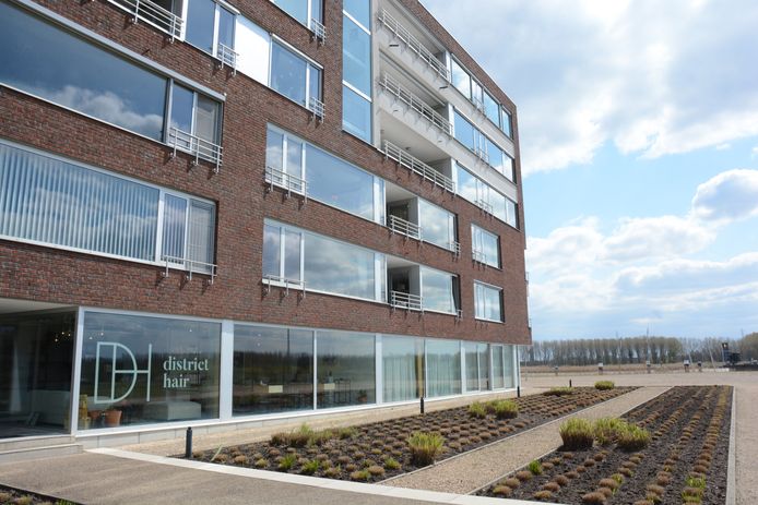 Tom Sneppe (39) nam afscheid van reclamewereld om droom na te jagen ...