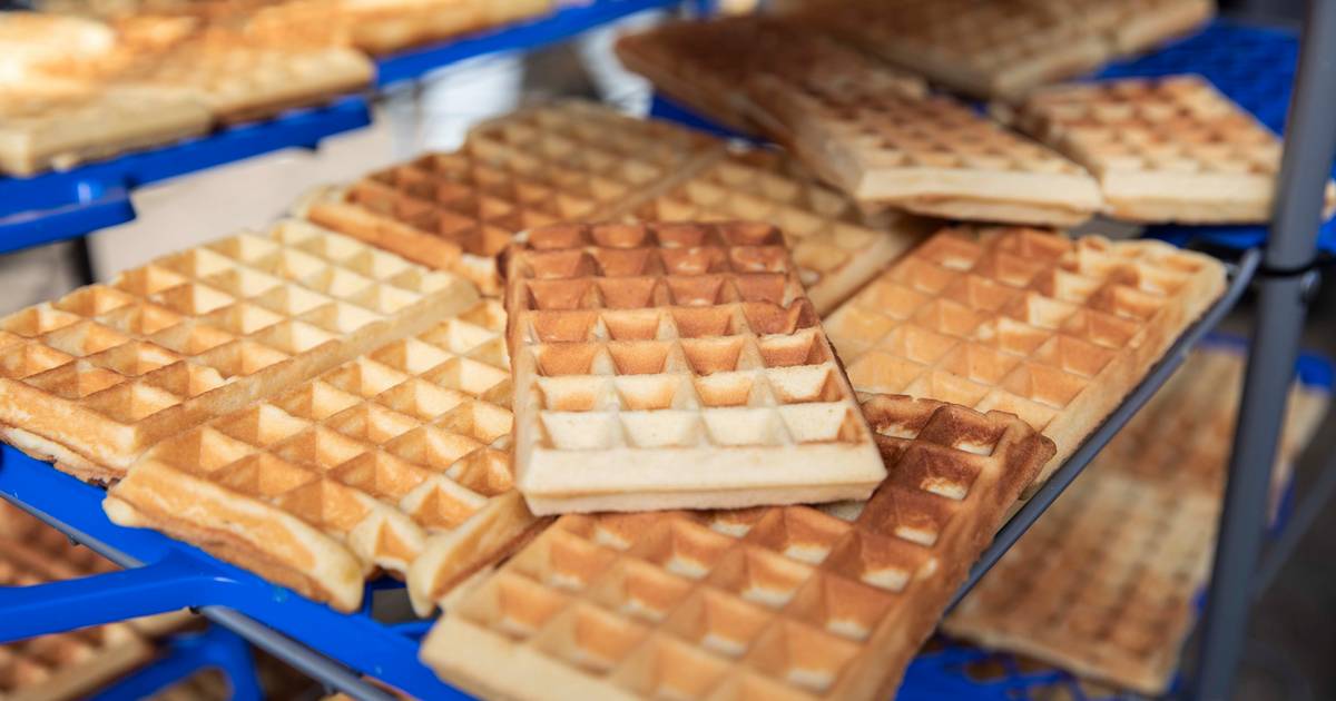 Grote wafelbak bij Scouts en Gidsen Inch Allah Kruishoutem | Kruisem ...