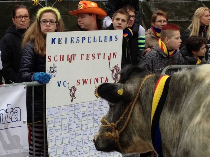 Eindelijk poepende koe in Keiespellersdurp | Haaren | bd.nl