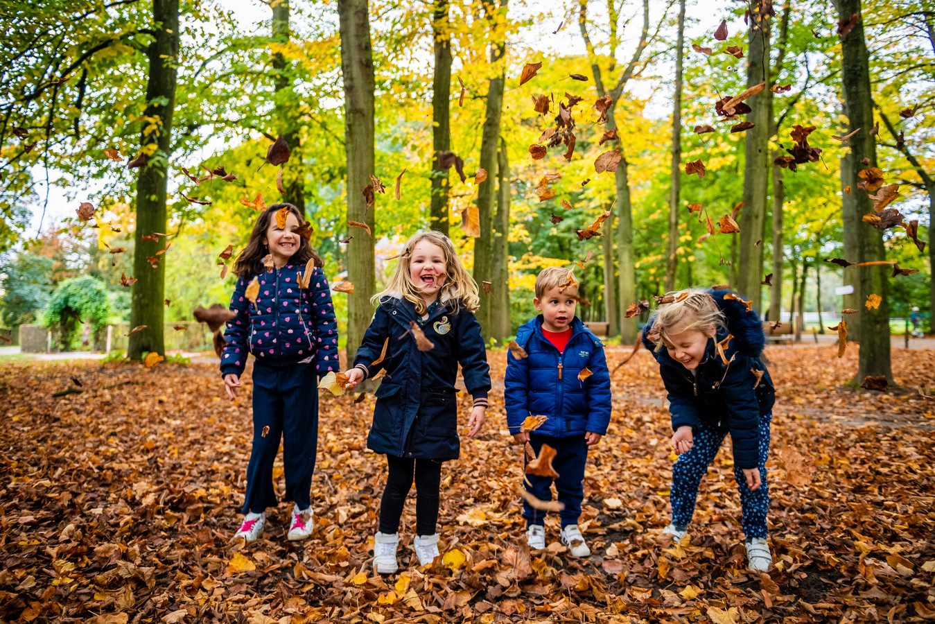 Van borduren tot puzzelen: met deze 7 activiteiten in de Denderstreek en Vlaamse Ardennen kom ...