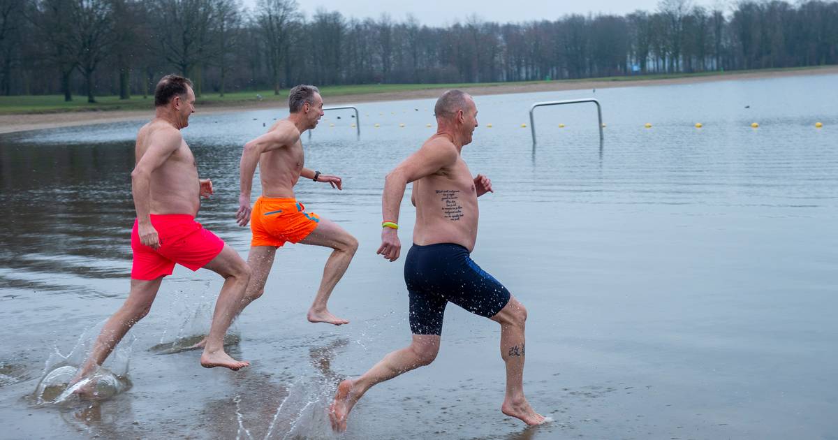 IJskoude proefplons: nieuwjaarsduik Bussloo moet weer traditie worden ...