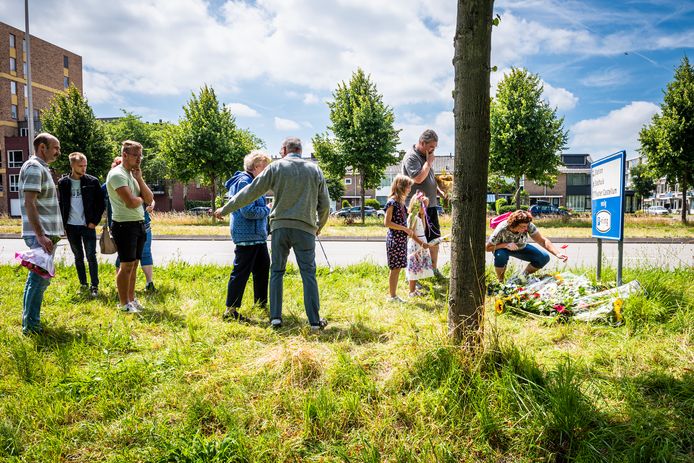 Moeder van doodgereden Kaylee (20) gaat met partij praten over lagere ...