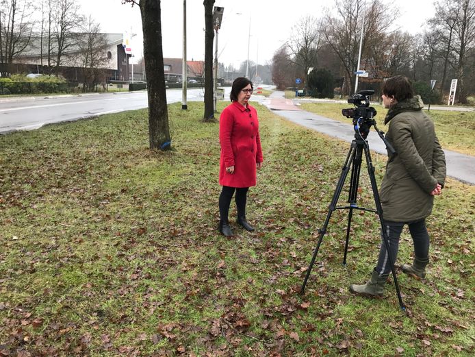 Eerste bomen Eperweg gaan morgen om | Bomenkap Heerderweg | destentor.nl