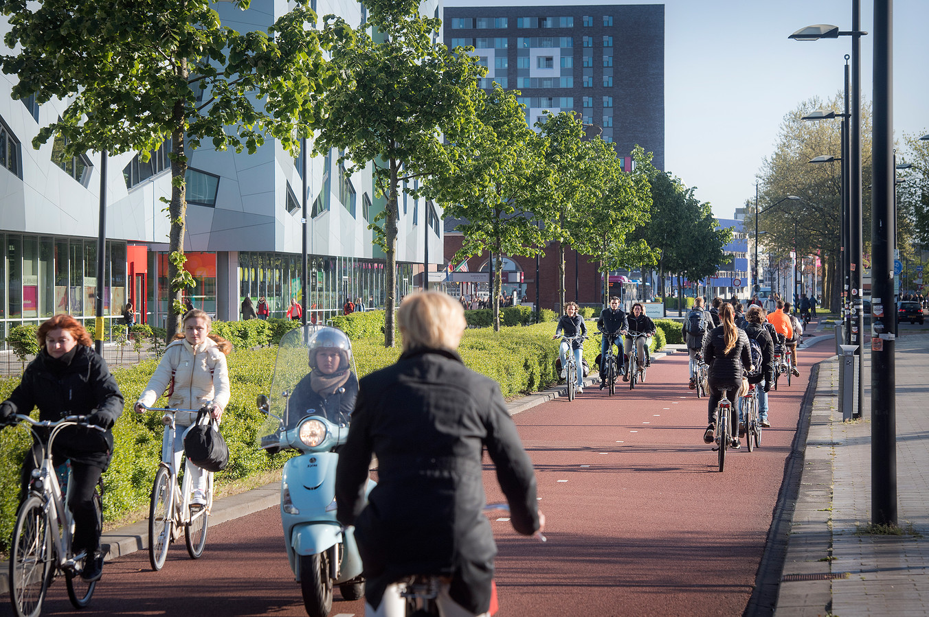 Te druk op de Nederlandse fietspaden: ‘Laat snelle fietsers op de ...