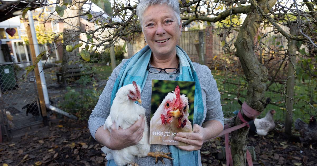 Van versjes naar dagboek naar Mijn ED naar bundel: Toos van Riet uit ...