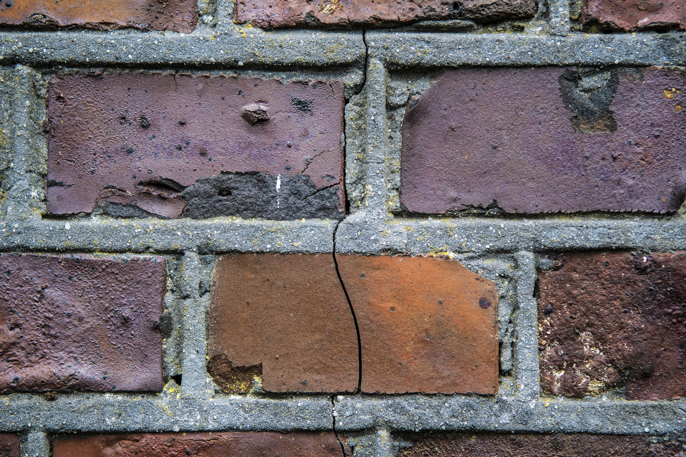 Voortaan 1500 euro of meer voor groep kinderen aardbevingsgebied | Foto ...