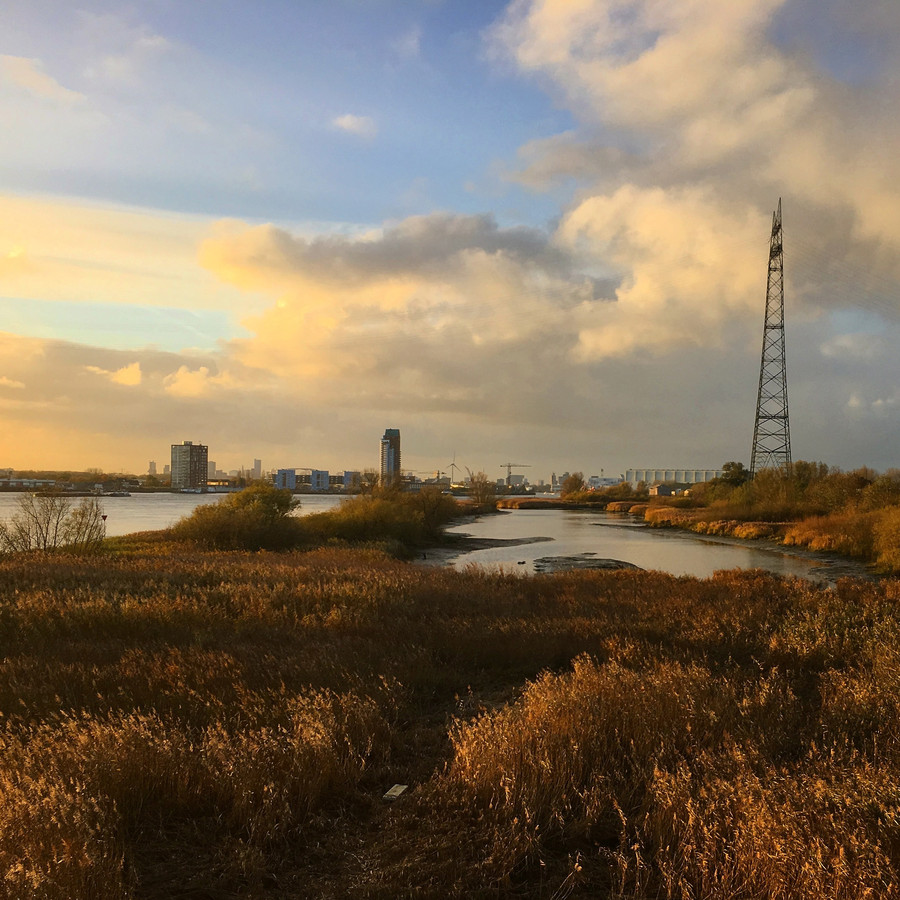 Nieuwe stroomdraden van Tennet komen eraan, met grote gevolgen: vijf ...