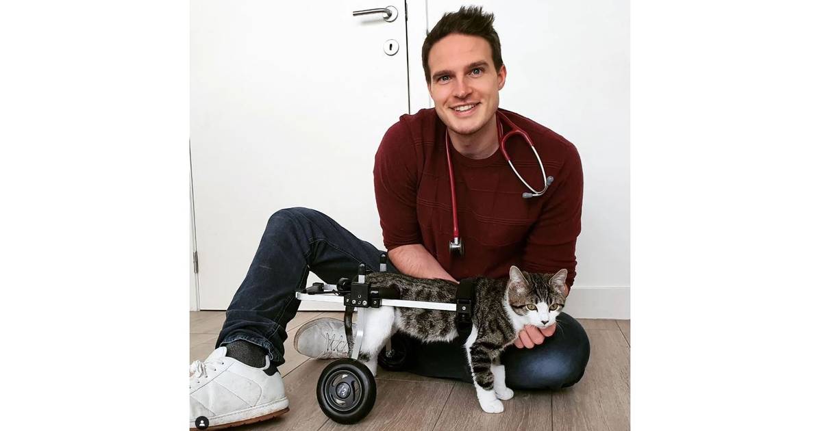 Rolwagentje redt verlamde kitten: “Wheely Willie loopt weer vrolijk ...