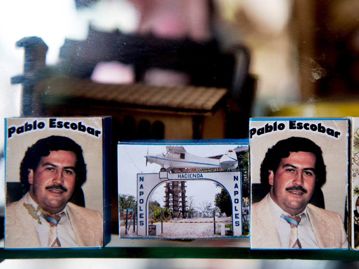 Escobars ‘coke-nijlpaarden’ planten zich te snel voort: wetenschappers ...