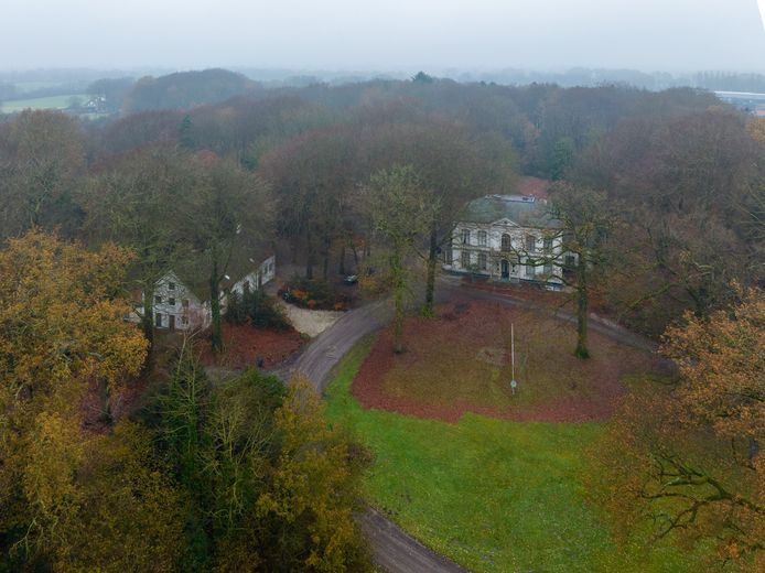 Veel zorgen over verdwijnen ‘historisch bos’ op landgoed in Nunspeet ...