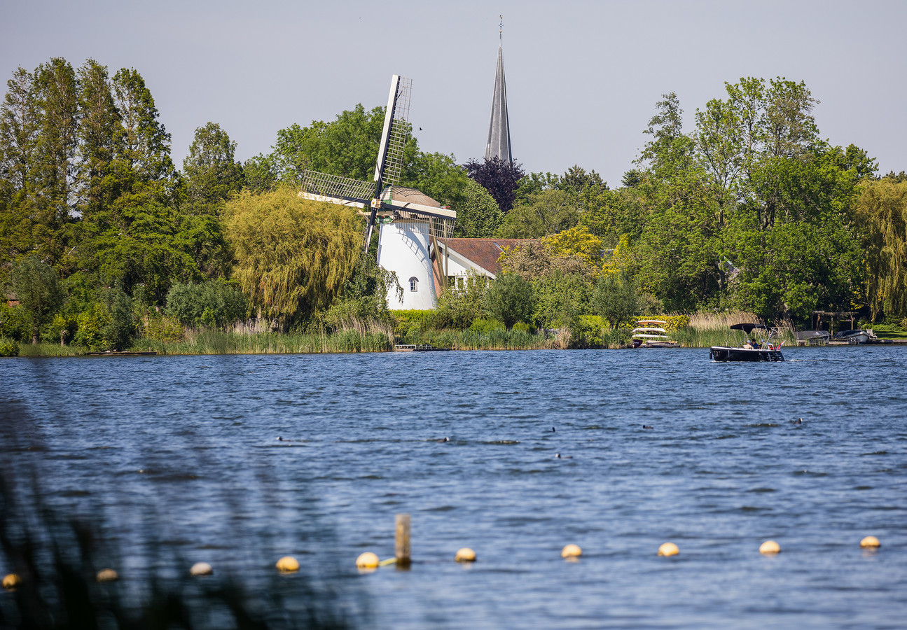 Negatief zwemadvies voor strandjes Westmaas en Mijnsheerenland | Foto ...
