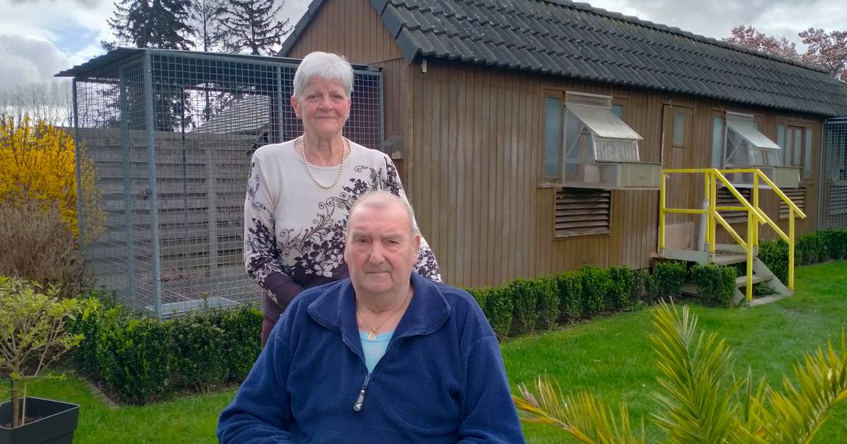 Jean (77) en Suzanna (75) moeten vergunde duiventil afbreken na klacht ...