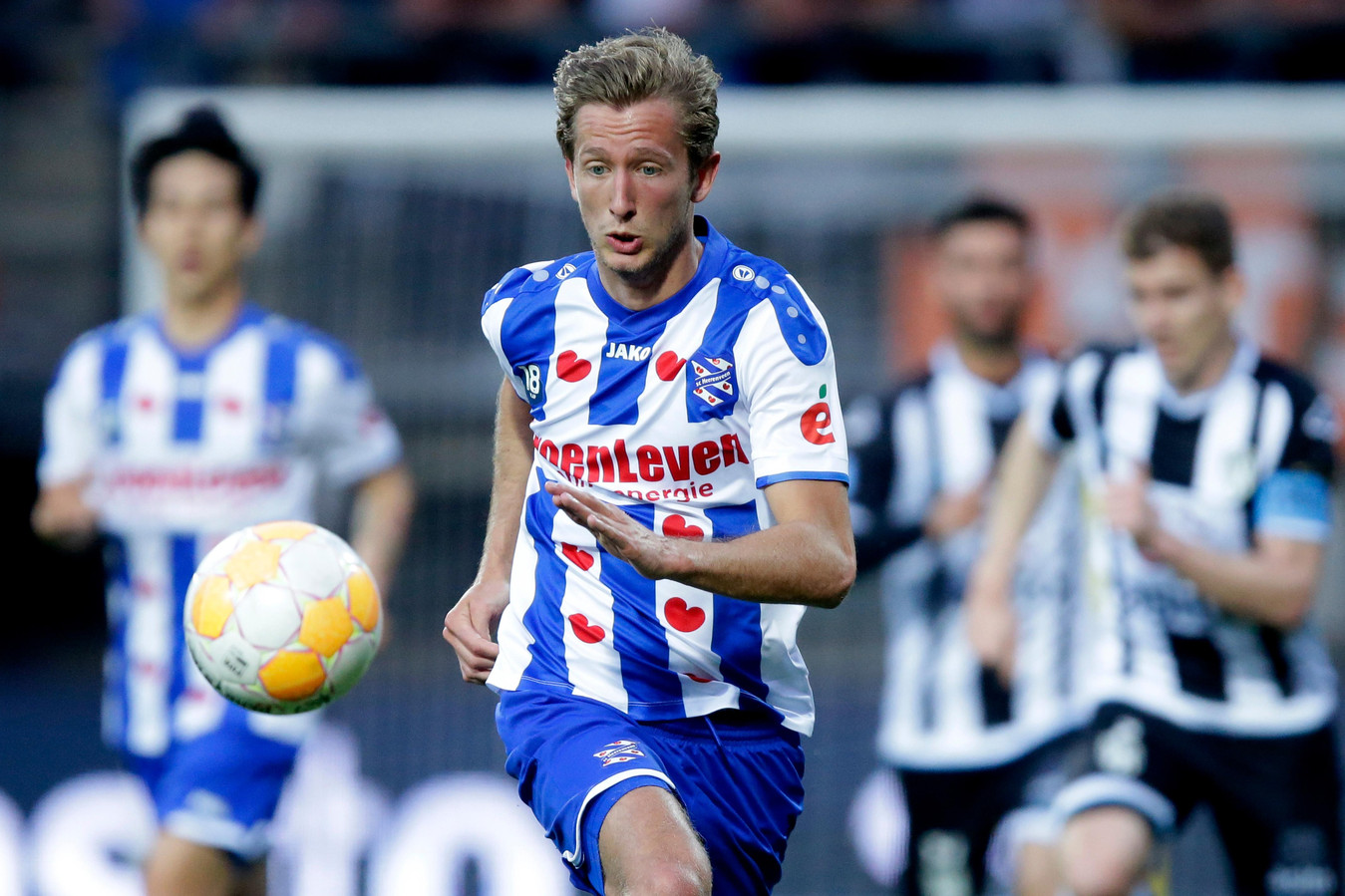 Vlap voorlopig terug in Friesland: ‘Hoop de draad straks weer op te ...