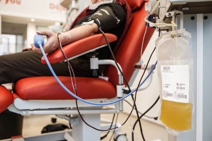Voka en Rode Kruis-Vlaanderen roepen bedrijven op om plasma te doneren ...
