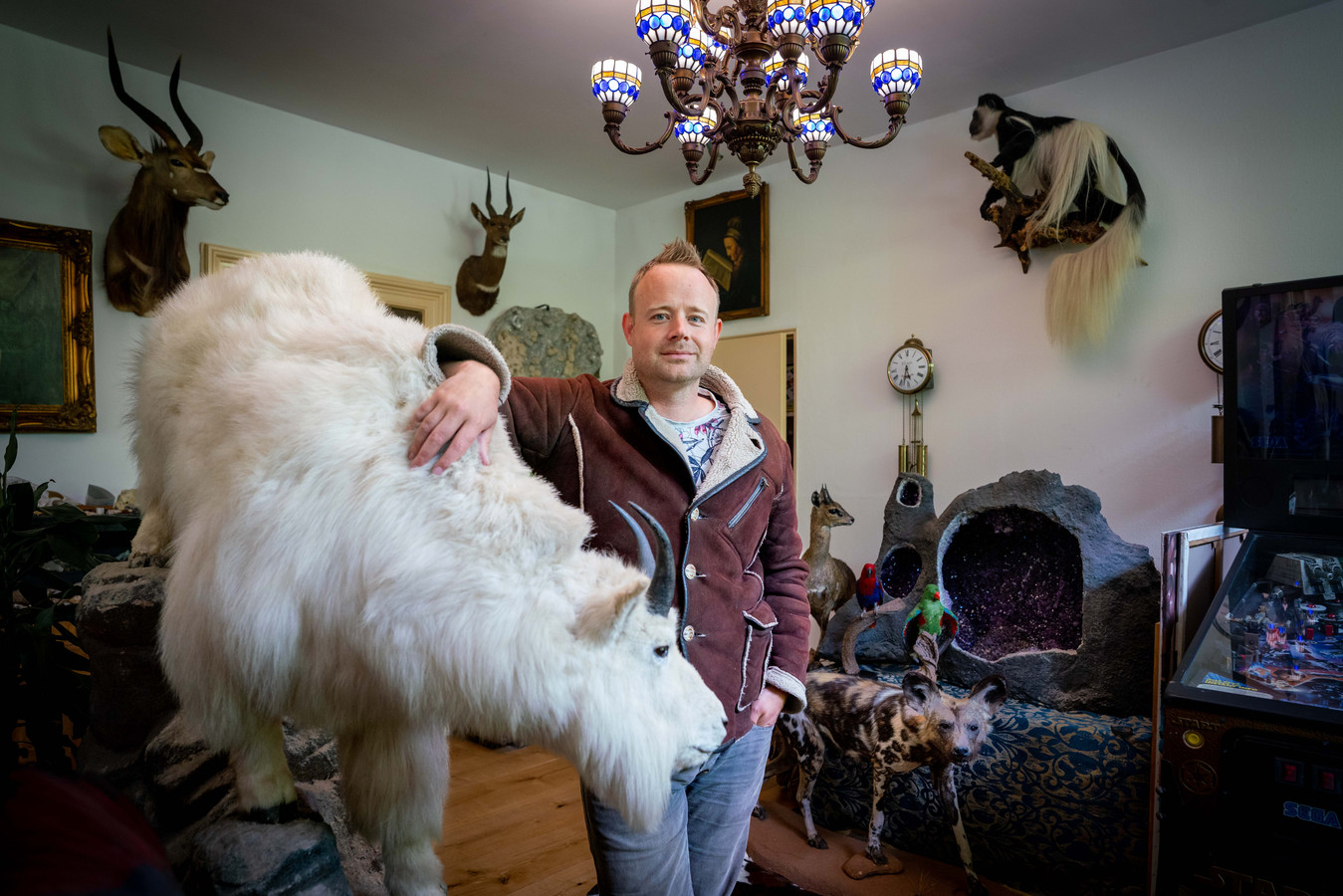 ‘Kuifje’ in het vizier van politie en NVWA, maar hij is niet onder de ...