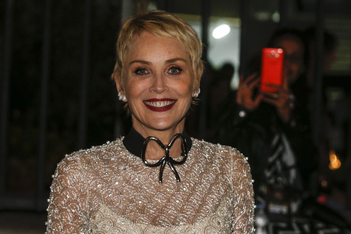 Sharon Stone (60) kaapt rol van 25-jarige weg in nieuwe film | Foto ...