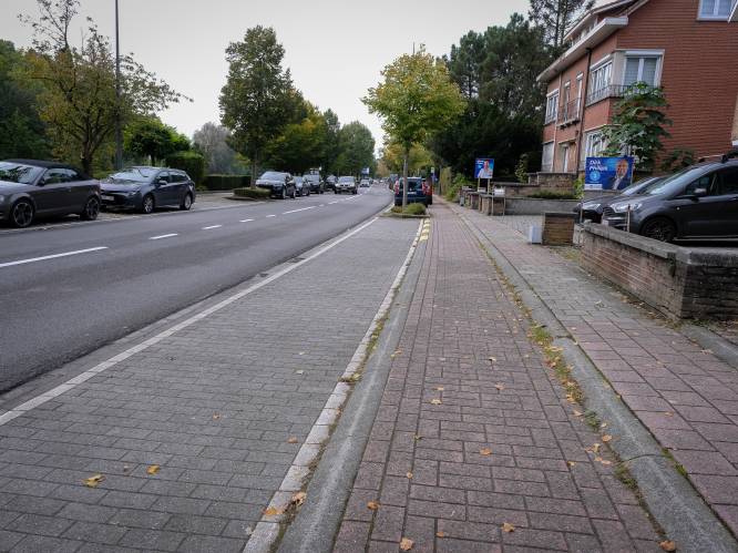 Stembussen in Kortenberg open, de strijd is begonnen: behoudt Thienpont ...