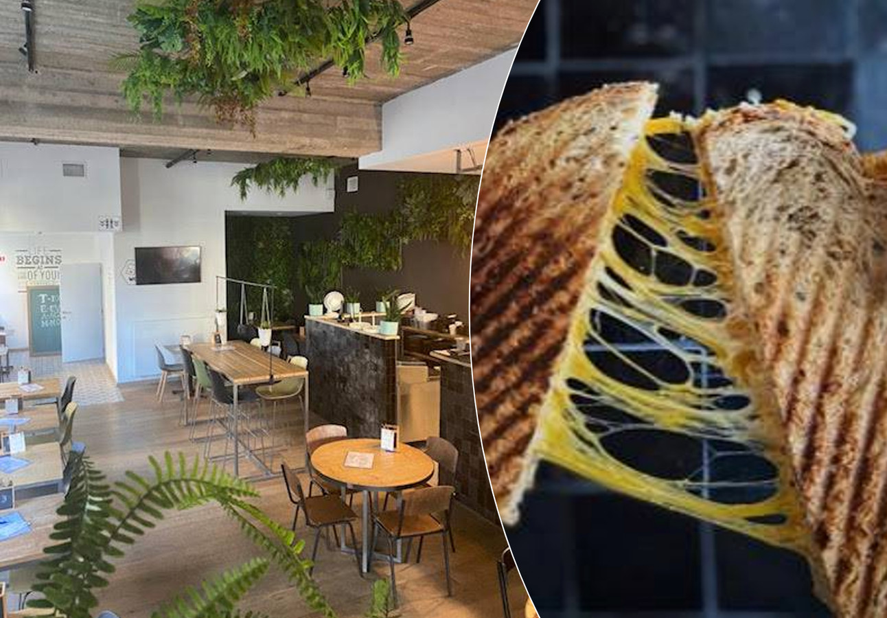 Van Vital tot Pact 24: in deze 8 kindvriendelijke restaurants in Leuven ...