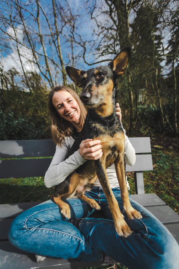 Jana Wuyts schrijft tweede boek over haar wilde berghond Boef: “Hij is een vulkaan, net als mijn ...
