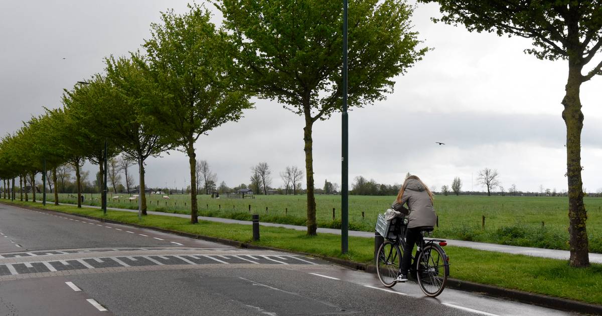 Woonwagenbewoner houdt Montfoorts bouwplan De Bleek niet tegen: weg ...