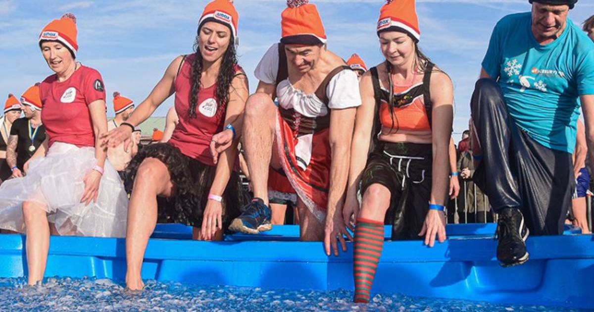 Op zoek naar een uitje in de regio? Check onze tips! Met deze week: van ...