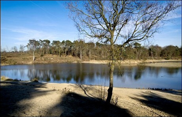 Zwemmen zit er bij Surae niet meer in | Oosterhout | bndestem.nl