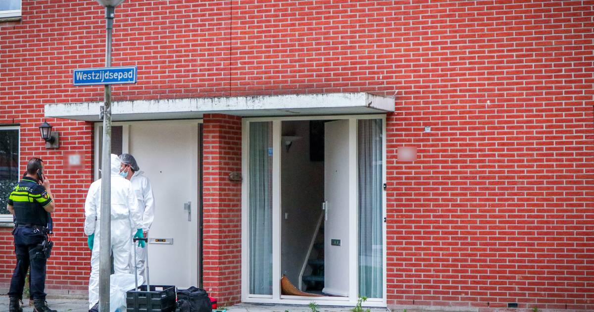 Bejaarde vrouw lag geruime tijd dood in woning: bromvliegen op ramen ...