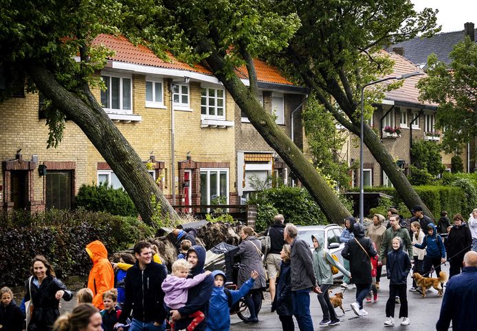 Bekijk hier de schade van zomerstorm Poly: een spoor van vernieling ...