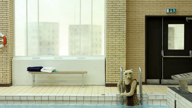 Zweedse film 'Simhall' wint op Anima | De Morgen