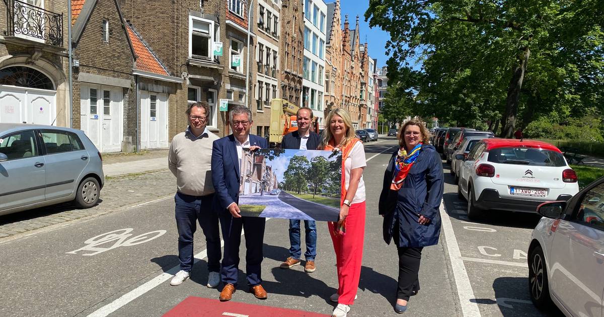Werken om van Filips de Goedelaan een parklaan en fietsvriendelijke weg ...