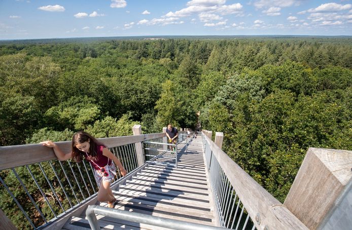 Een spectaculair uitzicht op de Veluwe na flinke klim | Ede ...
