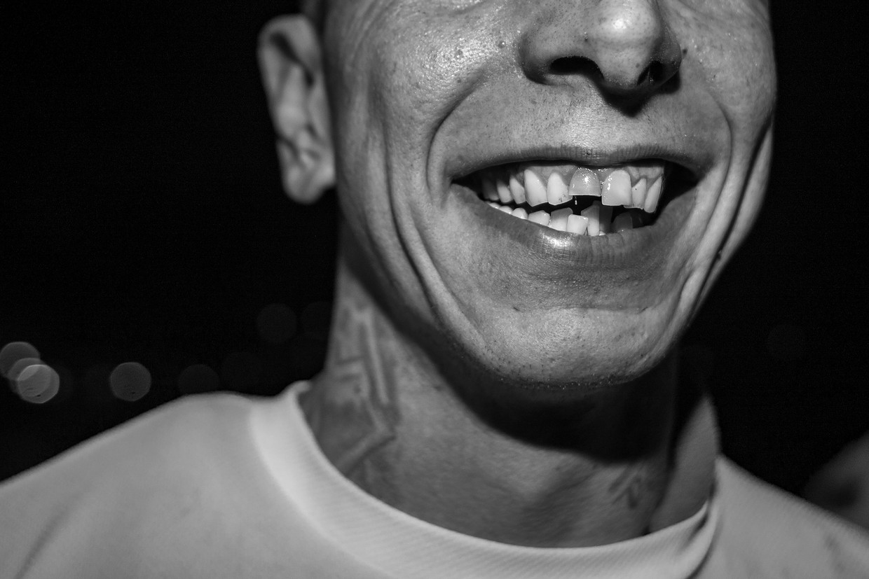 In het bos zijn de wilde dieren: knokken voor de aardigheid | De Volkskrant