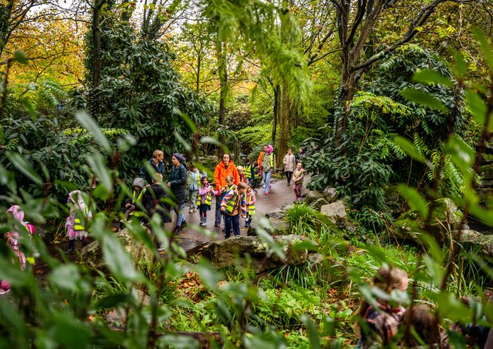 Blijdorp gooide het roer radicaal om, bezoeker: 'Als ze de dieren hier ...