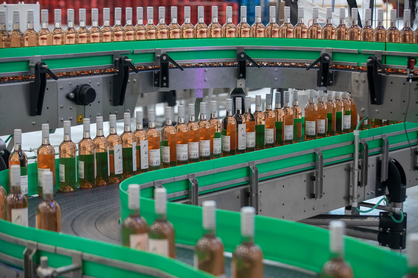 Delhaize opent grootste wijnbottelarij van Benelux: jaarlijkse ... Delhaize opent grootste wijnbottelarij van Benelux: jaarlijkse ...