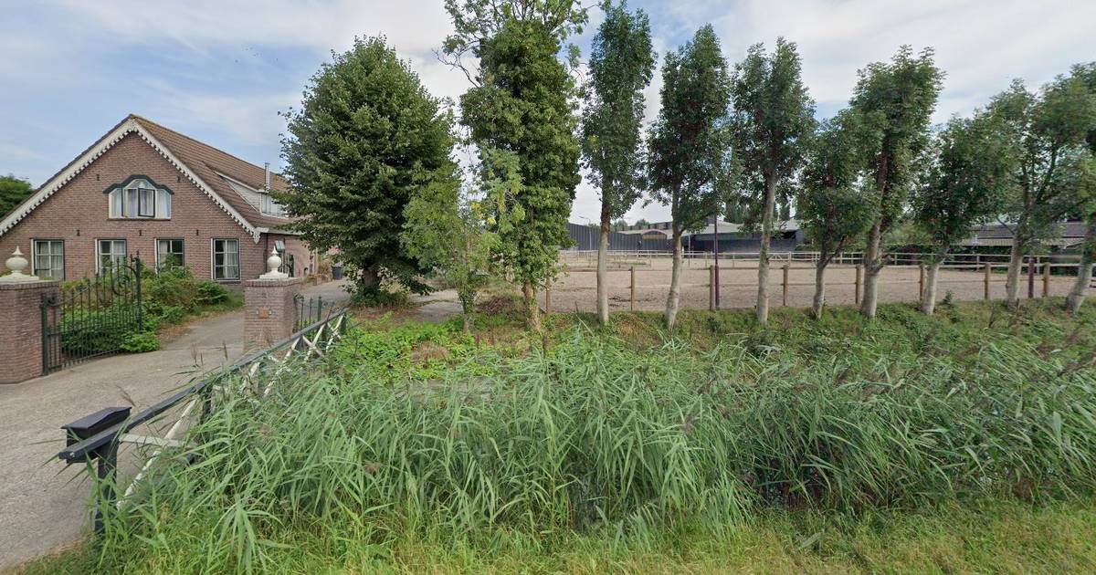Nieuwegeinse manege Rijnenburg (die bestond sinds 1997) gaat sluiten ...