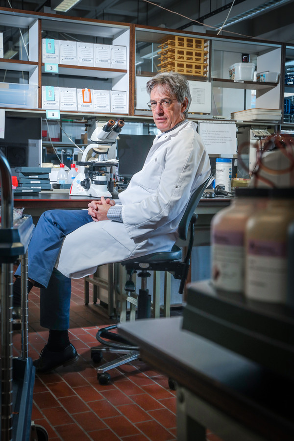 DE 100 BELGEN VAN 2020. Herman Goossens, professor microbiologie UA (96 ...