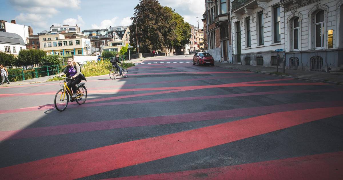 Rode strepen... een knip (meestal) | Gent | hln.be