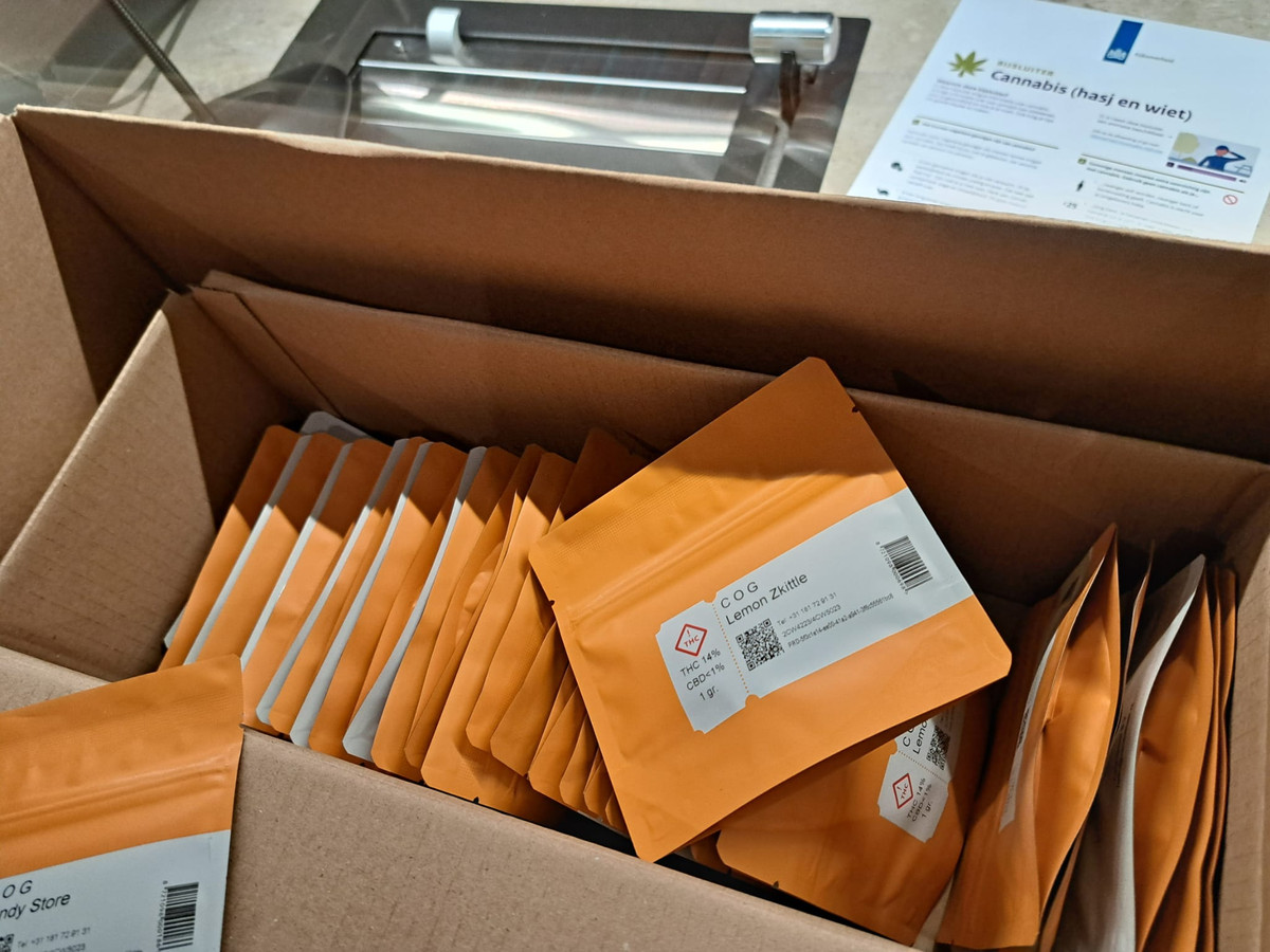 Eerste legale wiet in Tilburg en Breda over de toonbank: ‘Dit wordt een ...