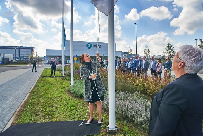 MSD Biotech begint na 25 jaar in Oss aan nieuw hoofdstuk: ‘Tien jaar ...