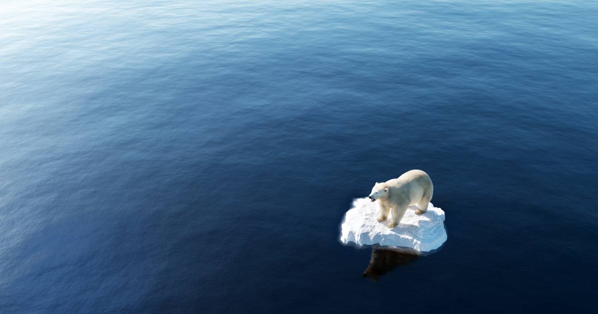 Steeds meer kans op overschrijden grens van opwarming aarde | Milieu ...