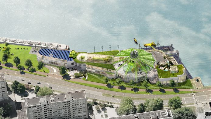 BlueCity010 definitief nieuwe eigenaar van Tropicana | Rotterdam | AD.nl