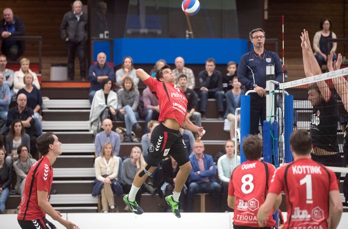 Vallei Volleybal Prins heeft wonder nodig tegen Dynamo Apeldoorn ...