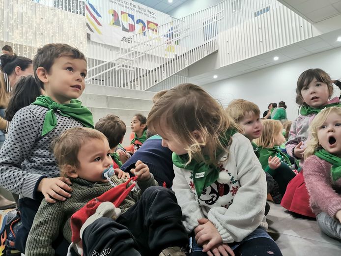 De Springveer in het nieuw: Modernste basisschool van Vlaanderen staat ...
