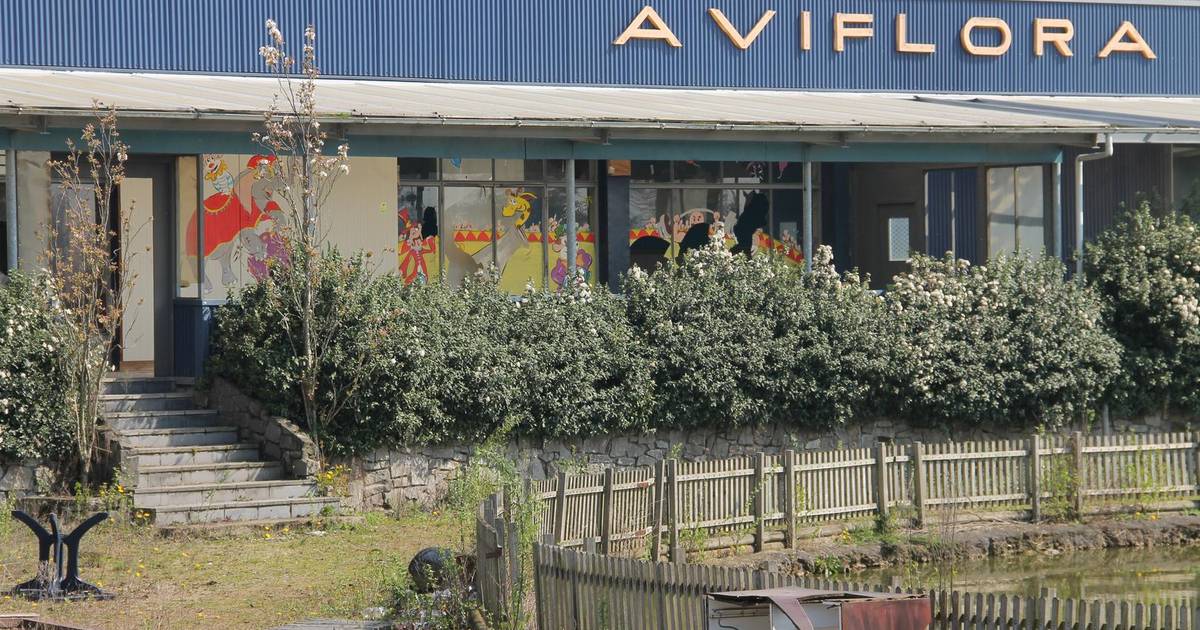Hoogste bod op Aviflora: 4000 euro | Ingelmunster | hln.be