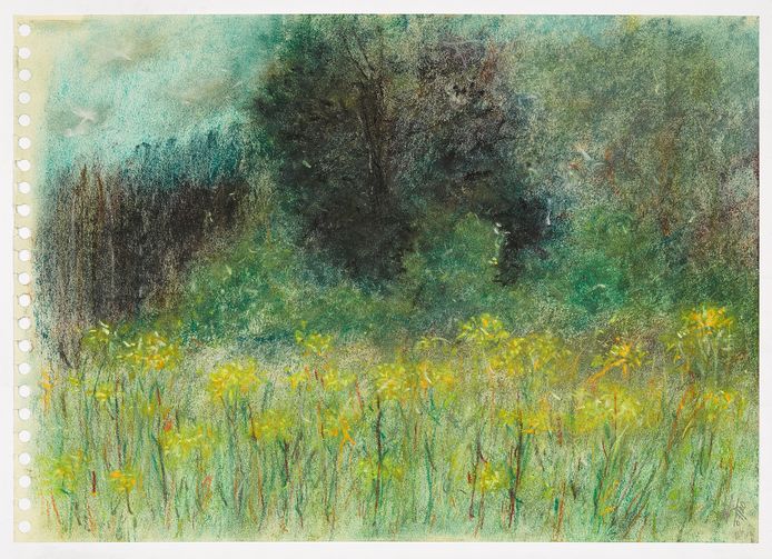 Fotograaf en beeldend kunstenaar met een passie voor natuur en tekenen ...