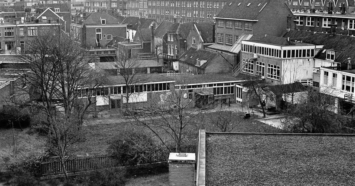 Een wirwar van paadjes, straatjes en steegjes: welk typisch Rotterdams ...