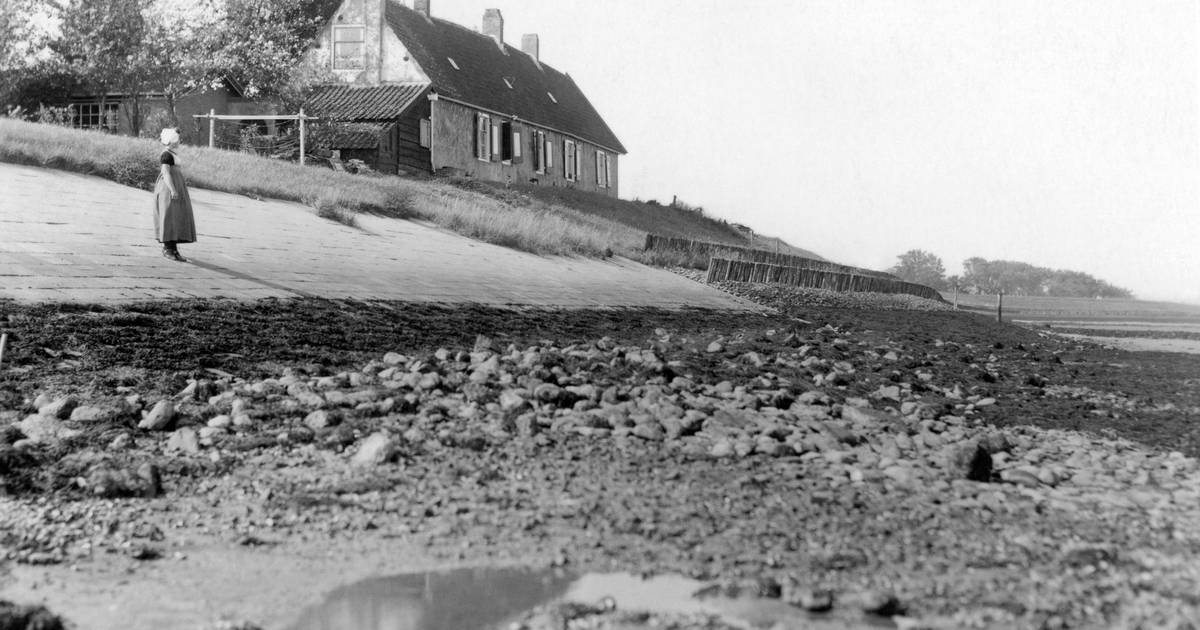 Tussen dam en dijk: het leven in voormalig dijkhuis tussen Veerse ...