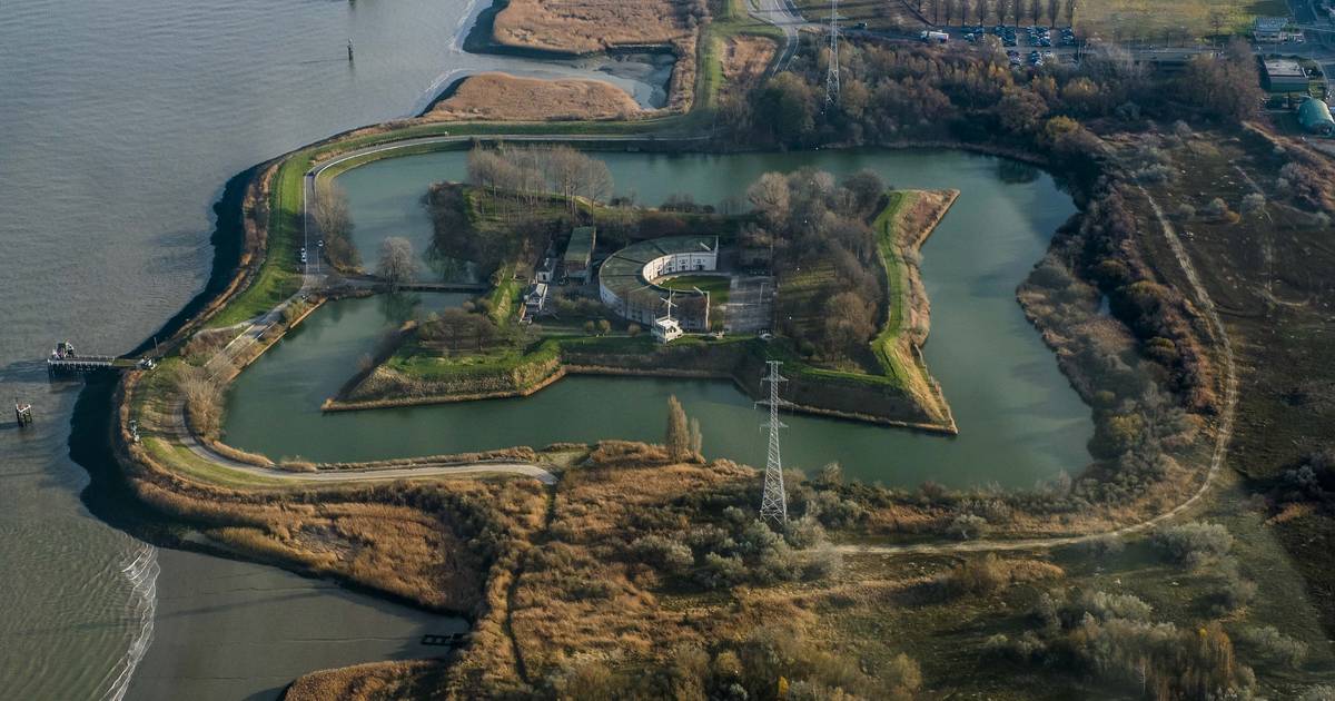 Verhoging Scheldedijk tussen Fort Liefkenshoek en Deurganckdok om ...
