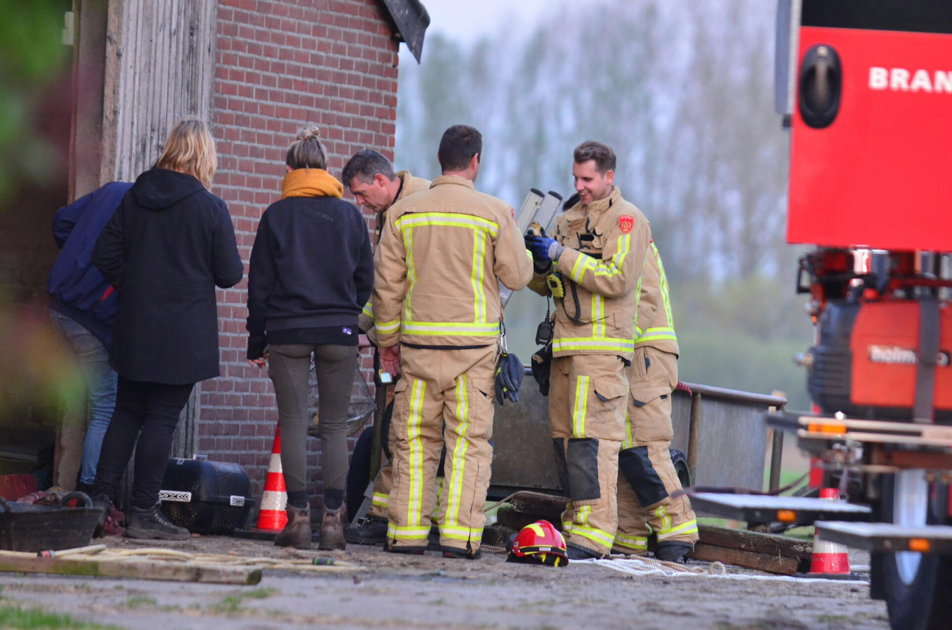 Lief! Baby-eendjes die uit diepe put werden gehaald in Someren zijn vernoemd naar redders van de ...